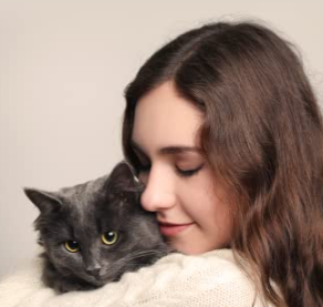 How do I make my cat love the Pixie Mouse Interactive Cat Toy? (IT001 ...